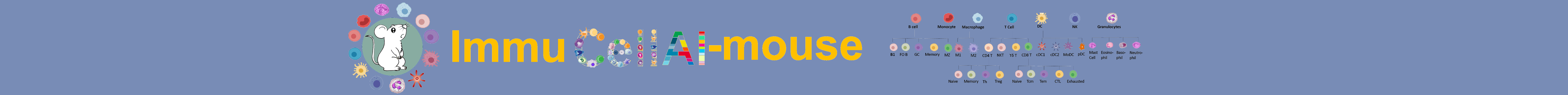 ImmuCellAI_mouse