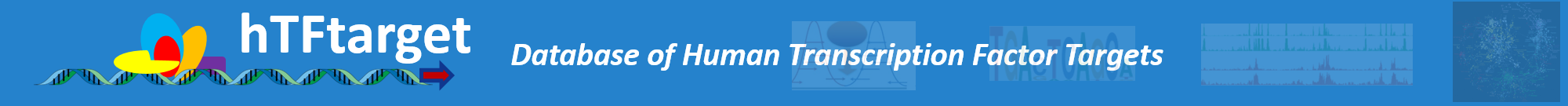hTFtarget
