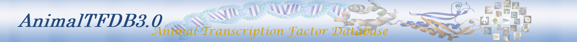 AnimalTFDB3