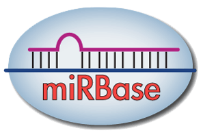 miRNASNP-v3